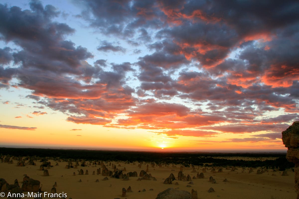 The Pinnacles, Sunset, and Night Sky Photography Private Day Tour